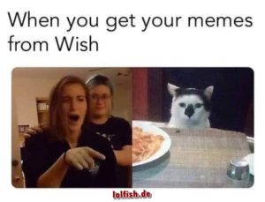 When you get your Memes from Wish - lolfish.de